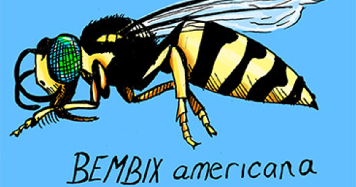 Issue 2: An Interview with Bembi | AMNH