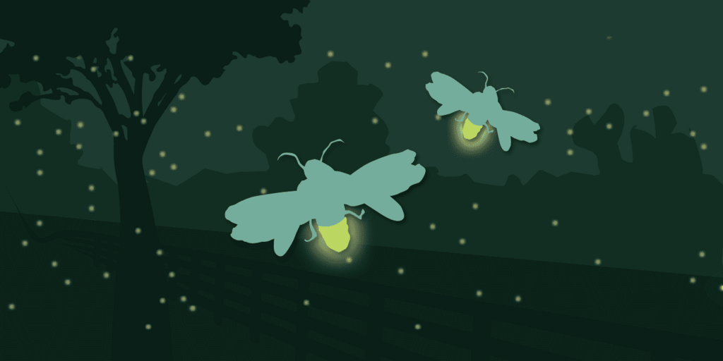 animated firefly