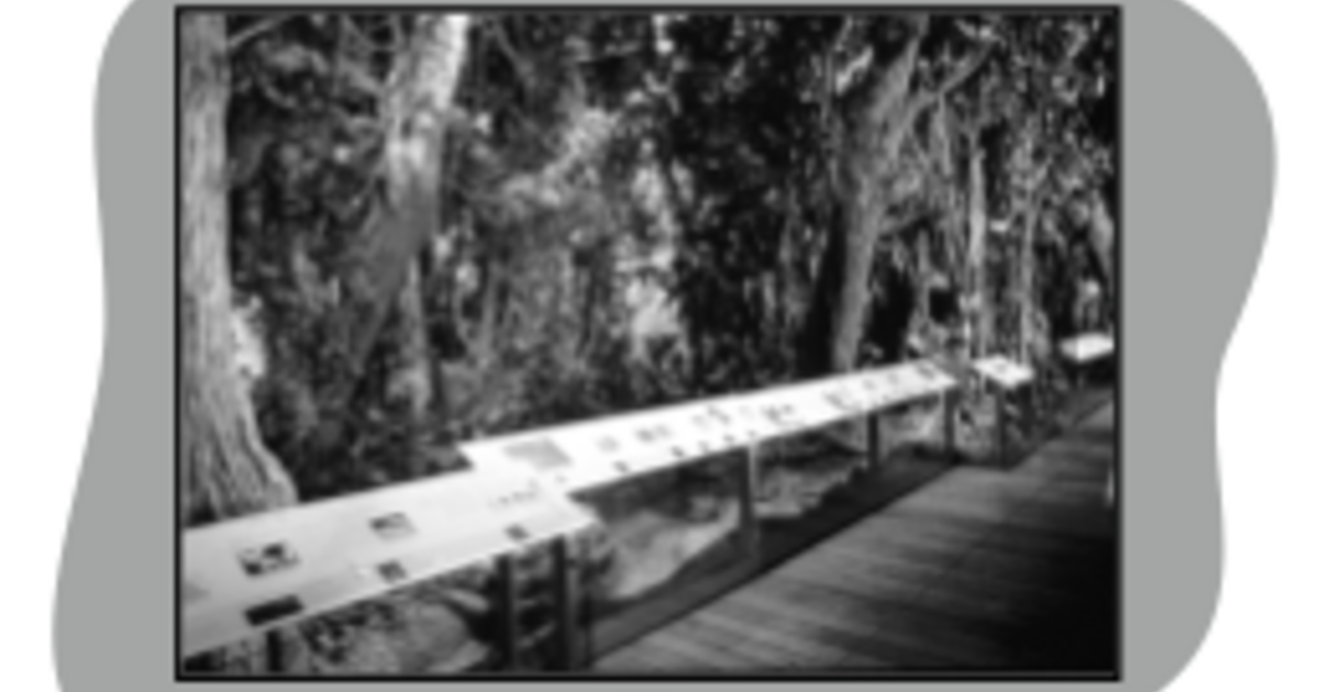 Discover Biodiversity at the American Museum of Natural History | AMNH