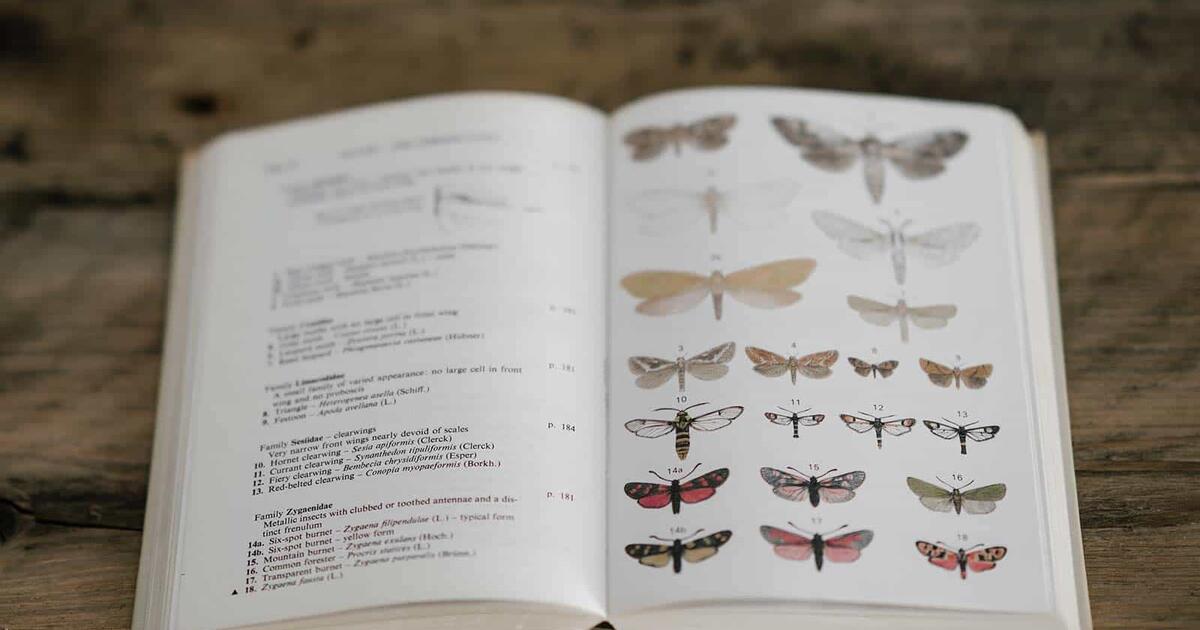 Biodiversity Counts Curriculum: Recommended Field Guides | AMNH