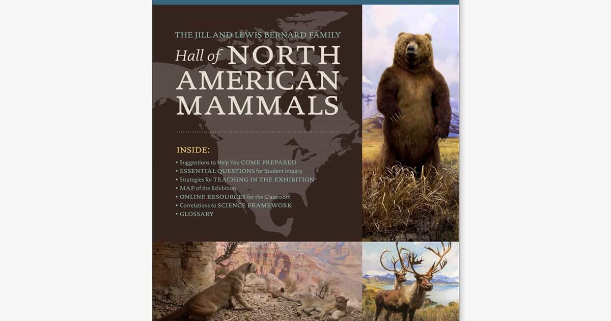 Educator Resources: Hall of North American Mammals | AMNH