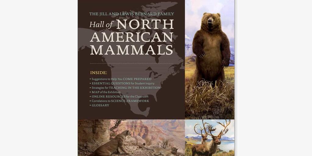 North American Mammals