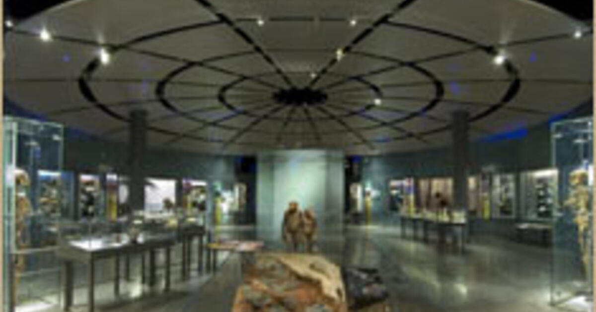 Human Origins Further Reading: Booklist for Kids | AMNH