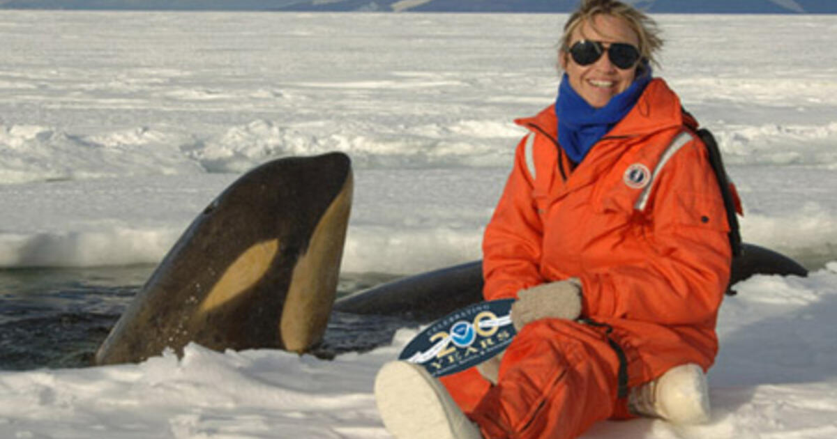 Living and Working in Antarctica Safely | AMNH