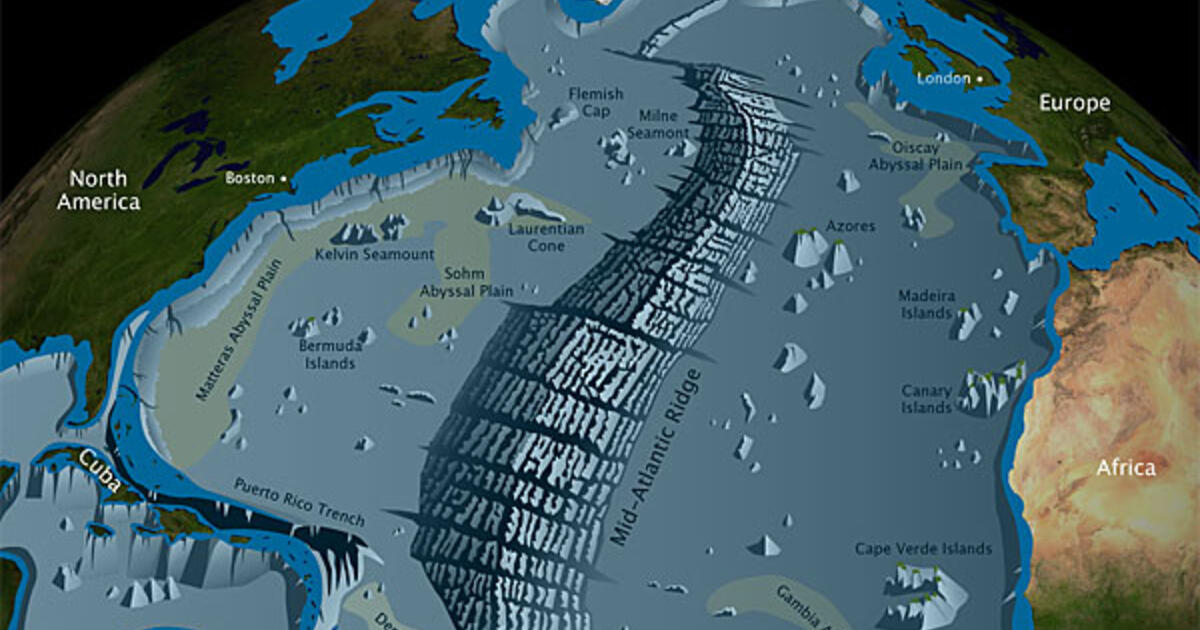 Just Add Water! | AMNH