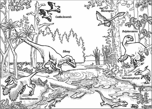 Make Your Own Liaoning Diorama | AMNH