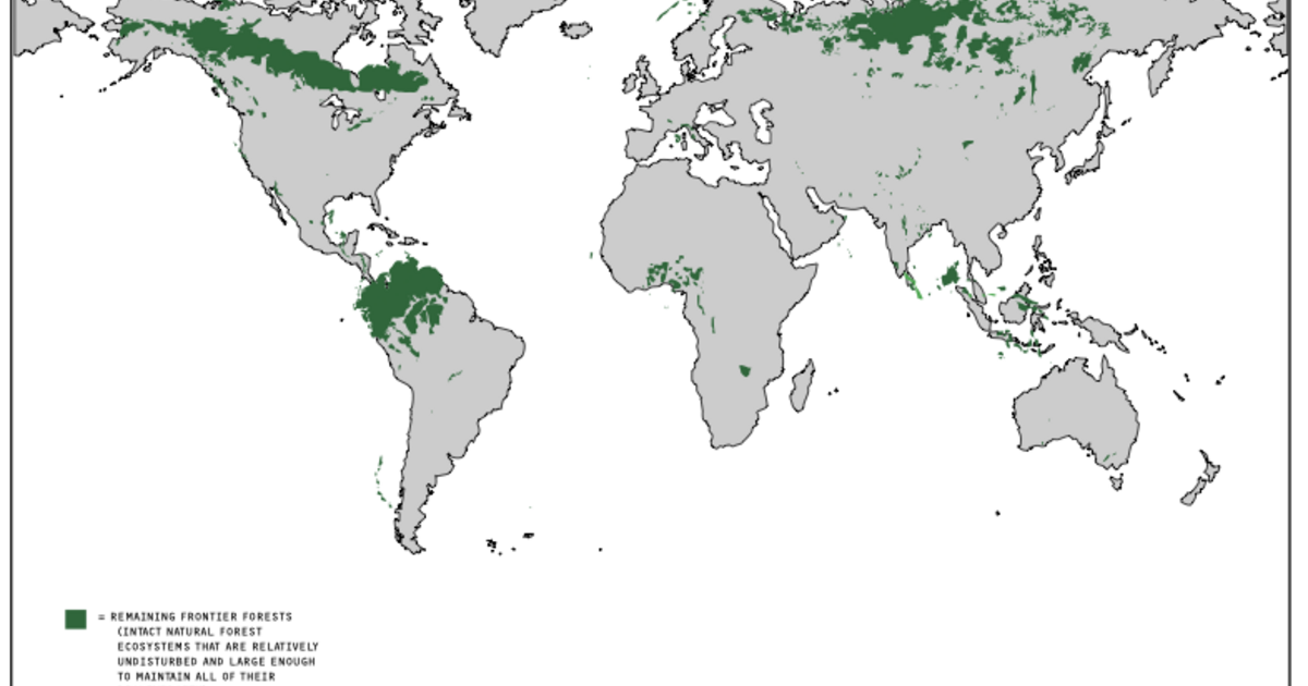 Transformation of the Biosphere: Deforestation | AMNH