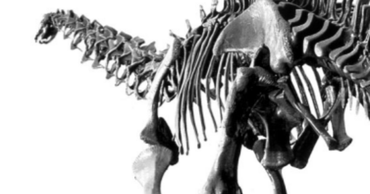 What Makes a Dinosaur a Dinosaur? | AMNH