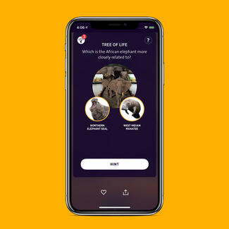 Explorer App | American Museum of Natural History