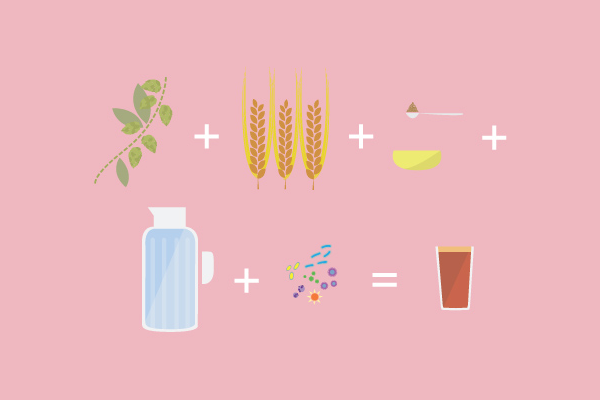 How Microbes Create Fermented Foods | AMNH