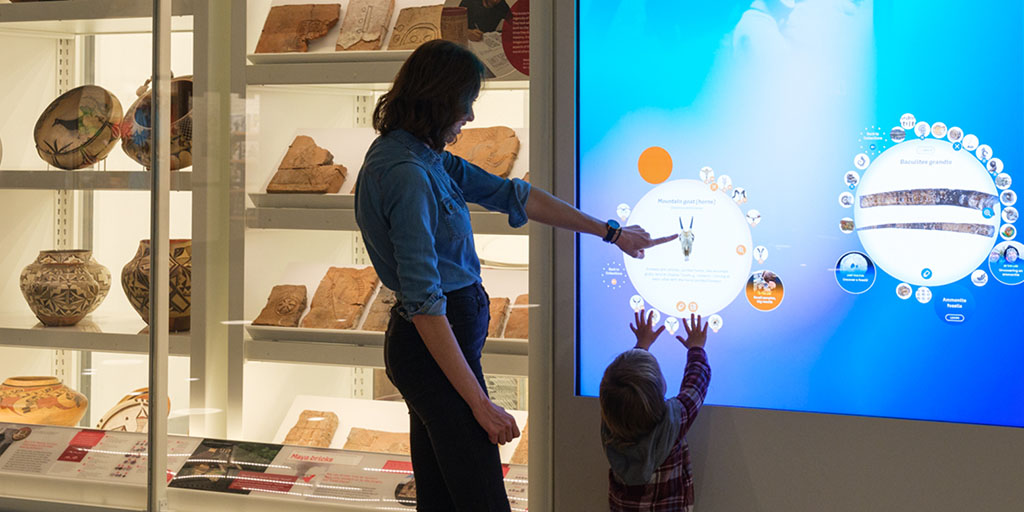 Louis V. Gerstner, Jr. Collections Core | AMNH