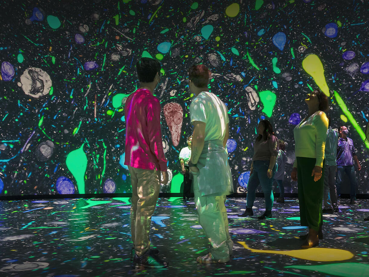 Invisible Worlds Immersive Experience | AMNH