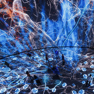 Invisible Worlds Immersive Experience | AMNH