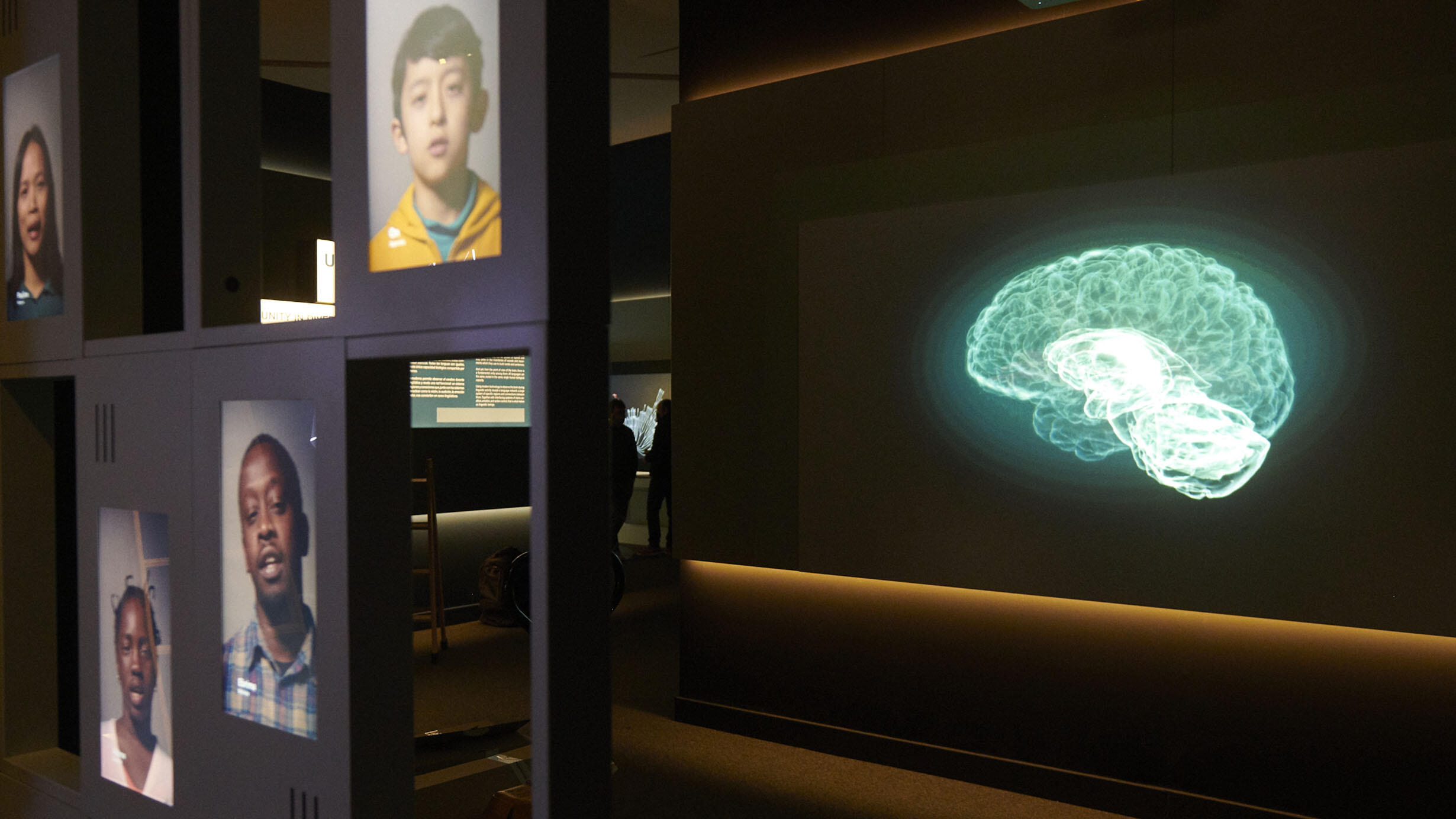 Talking Brains Traveling Exhibition Rental | AMNH