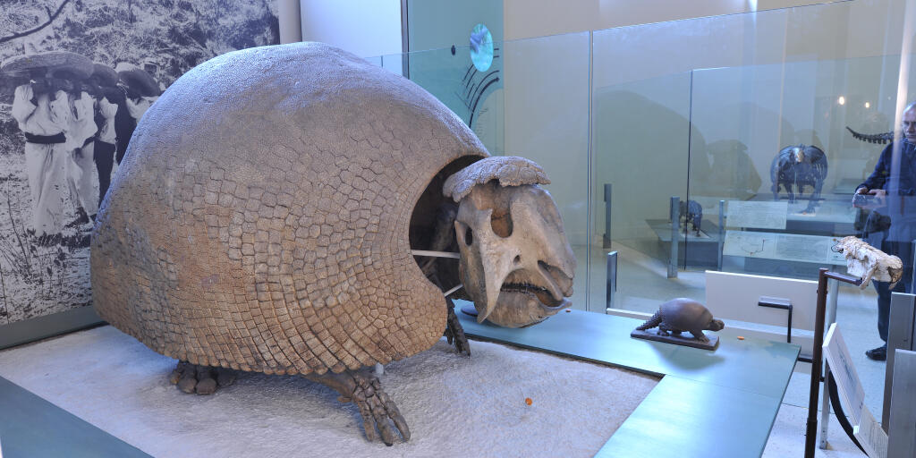 Giant Armadillo Ice Age