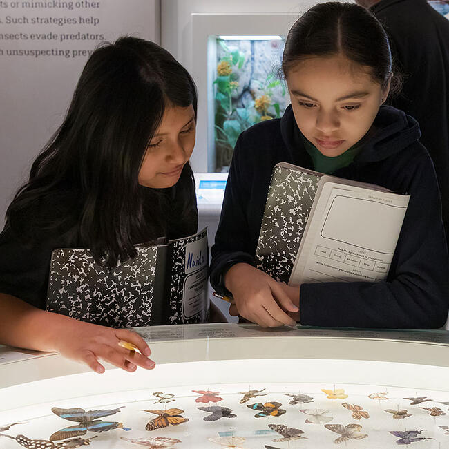 Donate: Support the Museum's Mission | AMNH