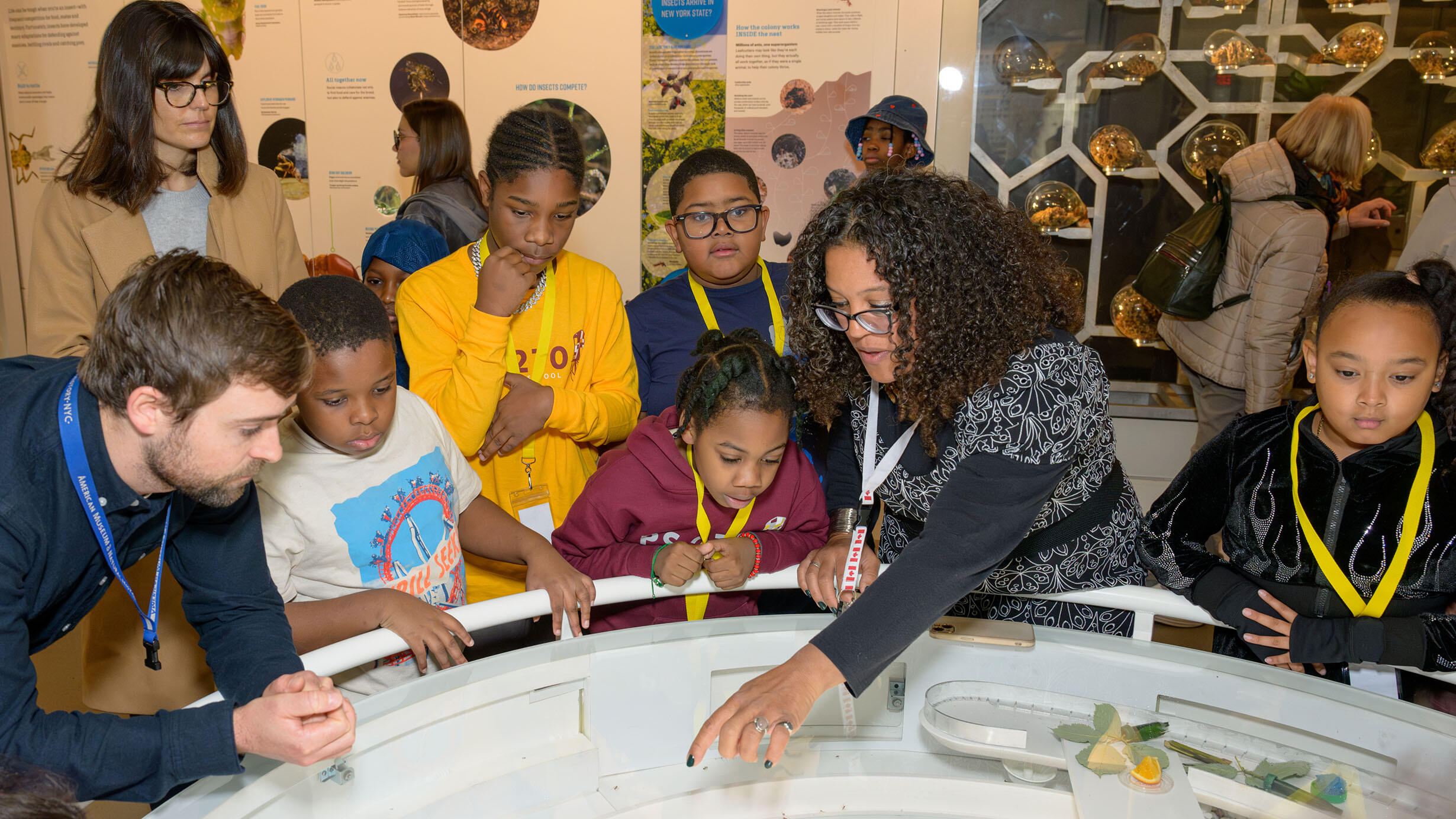 Beyond Elementary Explorations in Science (BEES) Residency | AMNH