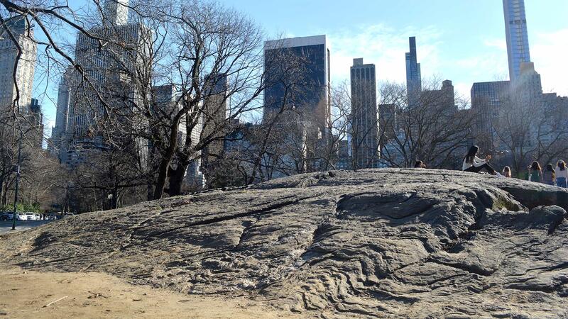 Central Park Geology Field Guide | AMNH