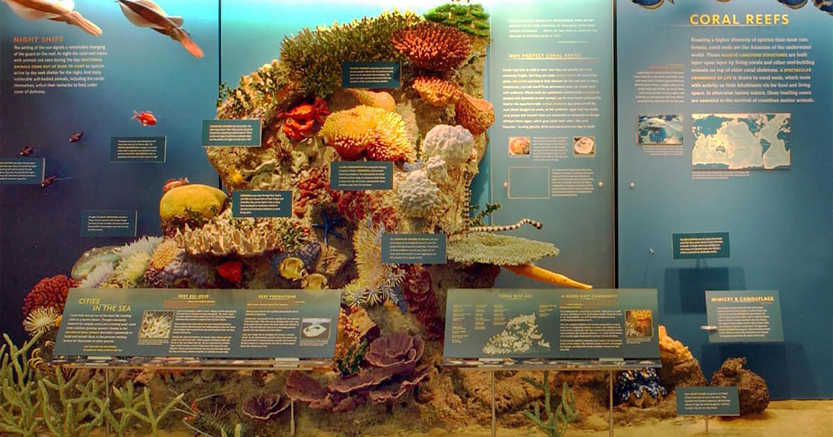 Ocean Habitats