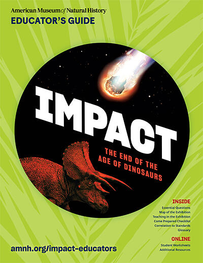 Educator Resources: Impact: The End of the Age of Dinosaurs | AMNH