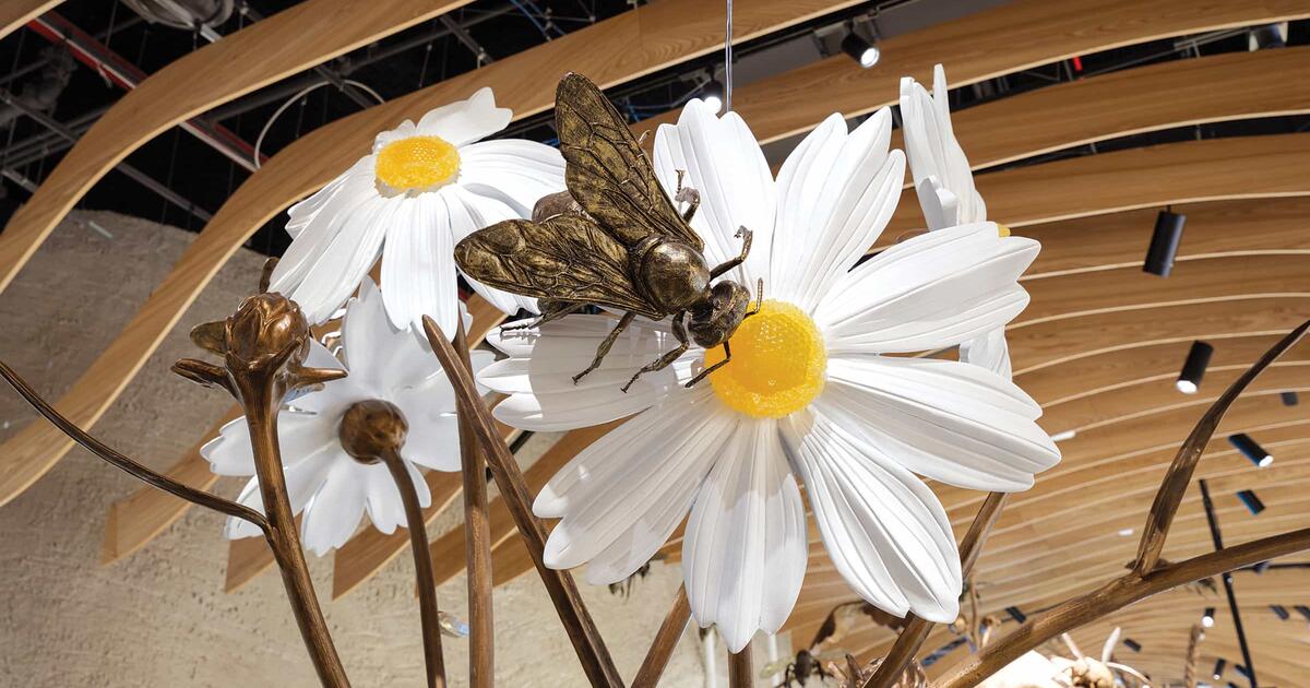 Educator Resources: Insectarium | AMNH