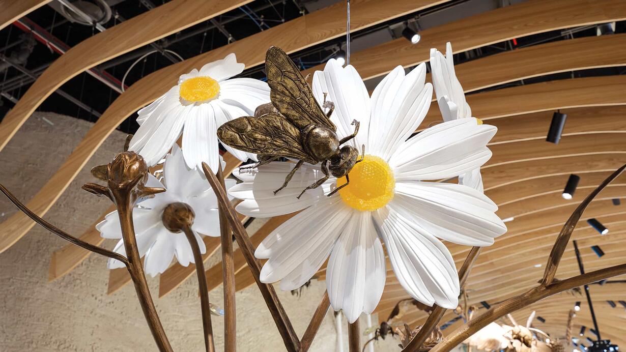 Educator Resources: Insectarium | AMNH
