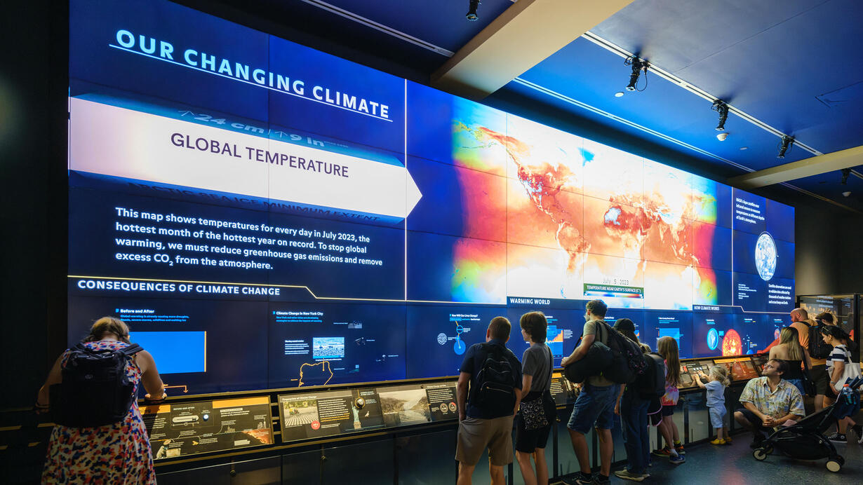 Hackathon 2026 NYC - Urban Futures: Climate Resilience | AMNH