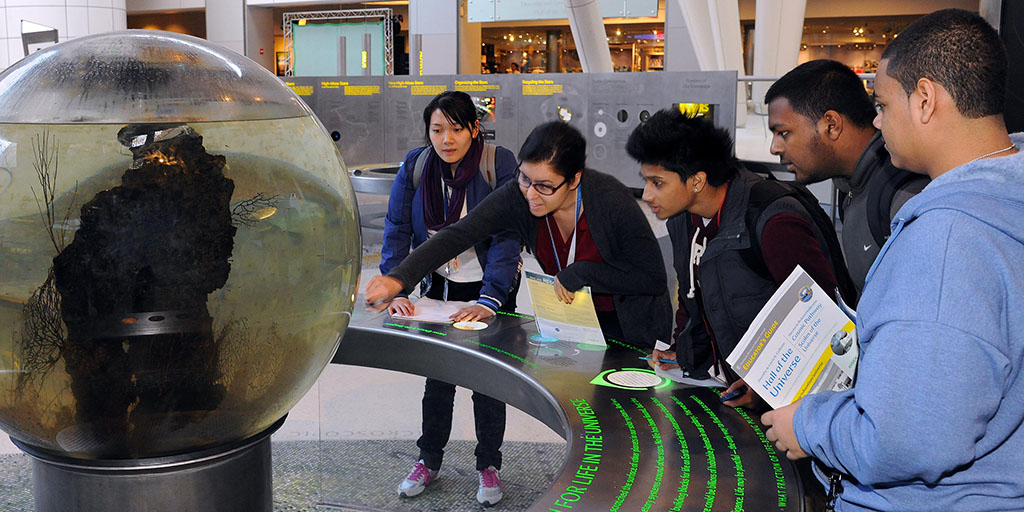 Demographics & Evaluation: Museum MAT Program | AMNH