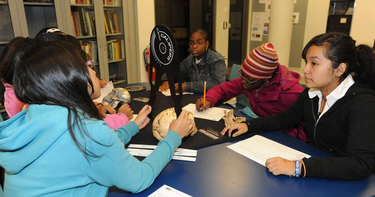 Virtual Human Origins Educational Lab | AMNH