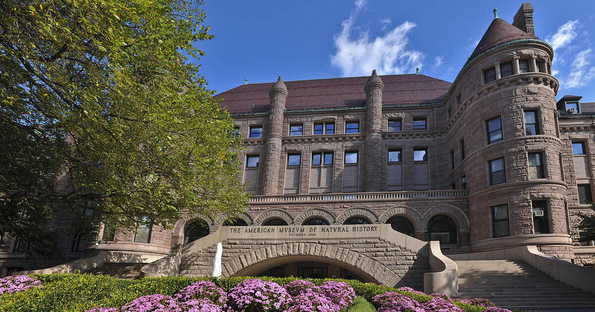 Hours & Temporary Hall Closures | American Museum of Natural History