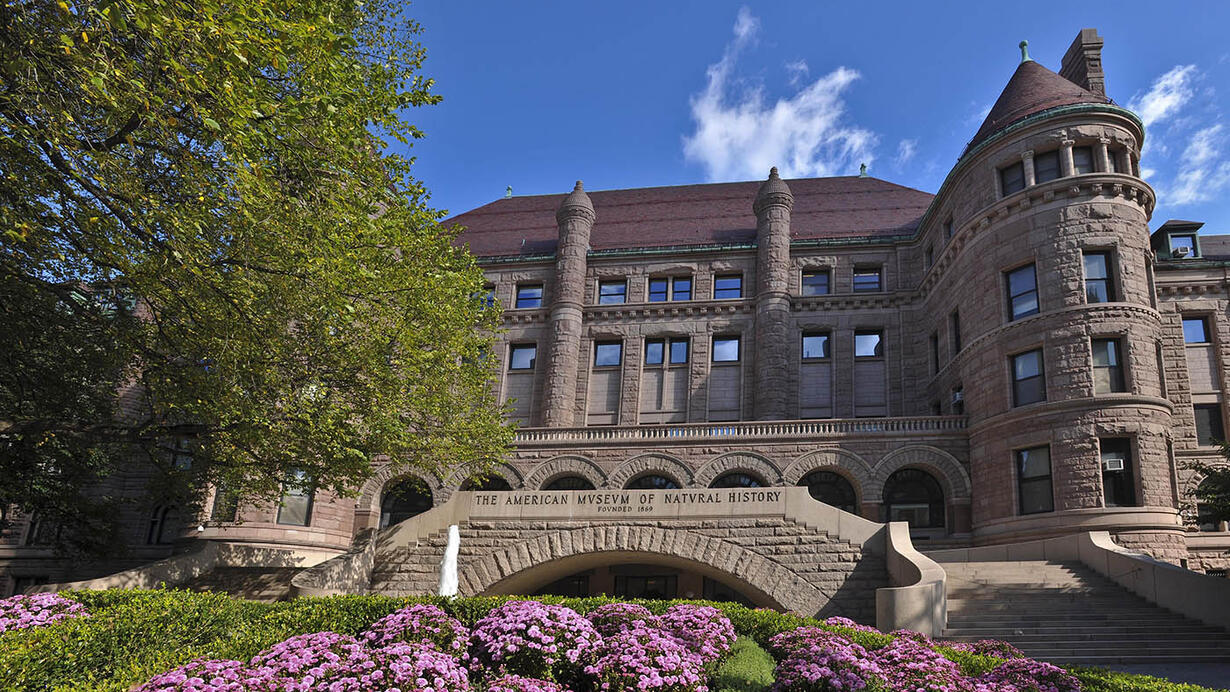 Museum Hours | American Museum of Natural History