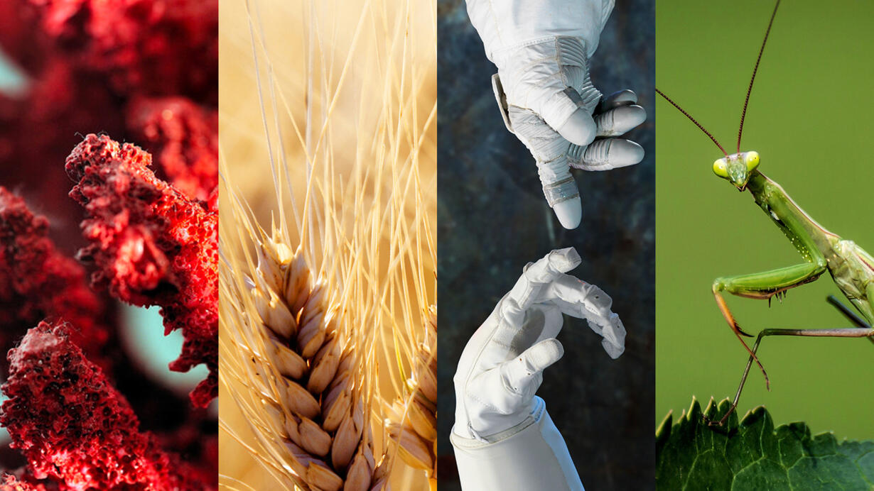 SciCafe: After-Hours Science Conversations | AMNH