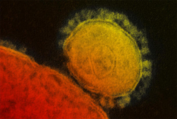 Virology and Epidemiology | Seminars on Science | AMNH