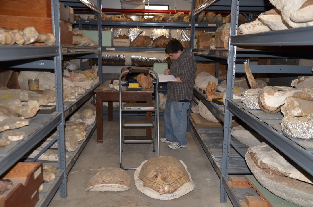 Randolph De La Garza, Course Instructor | AMNH