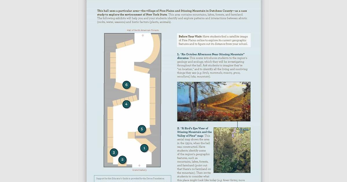 Educator Resources: Hall of New York State Environment | AMNH