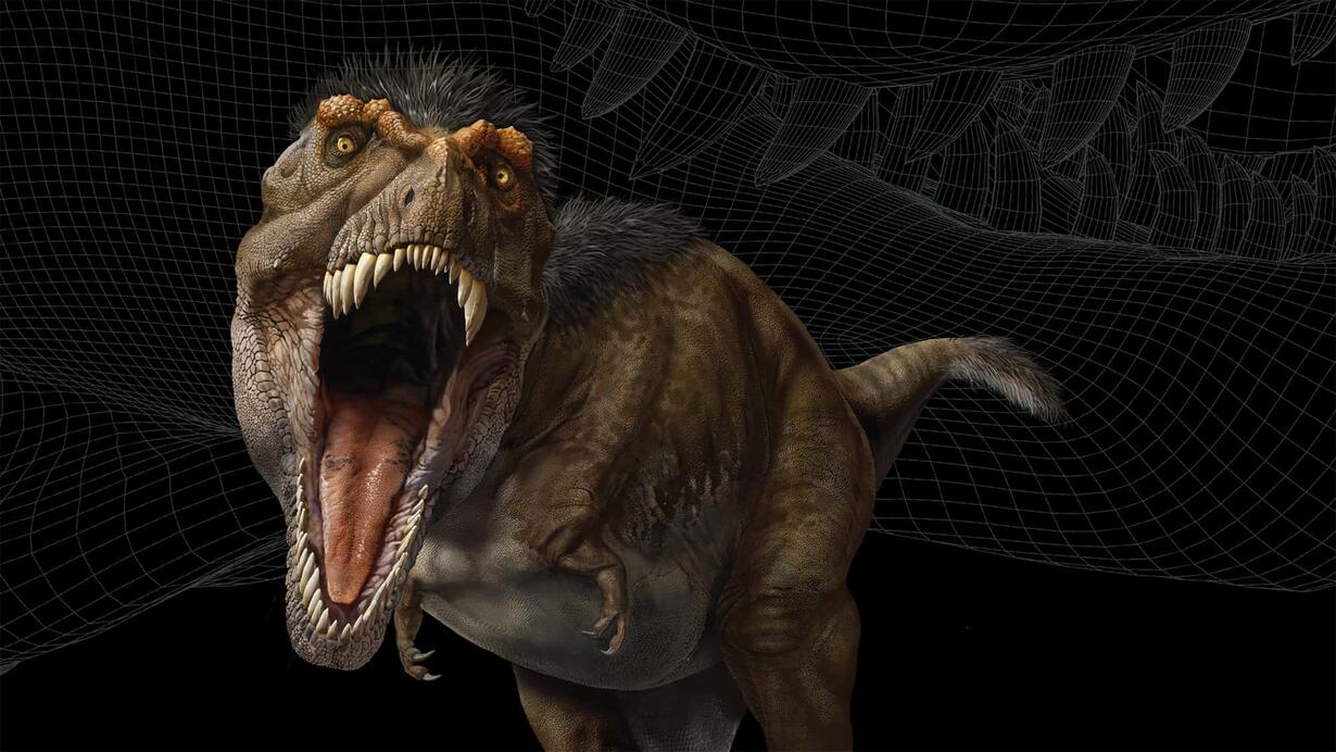 Educator Resources - T. rex: The Ultimate Predator | AMNH