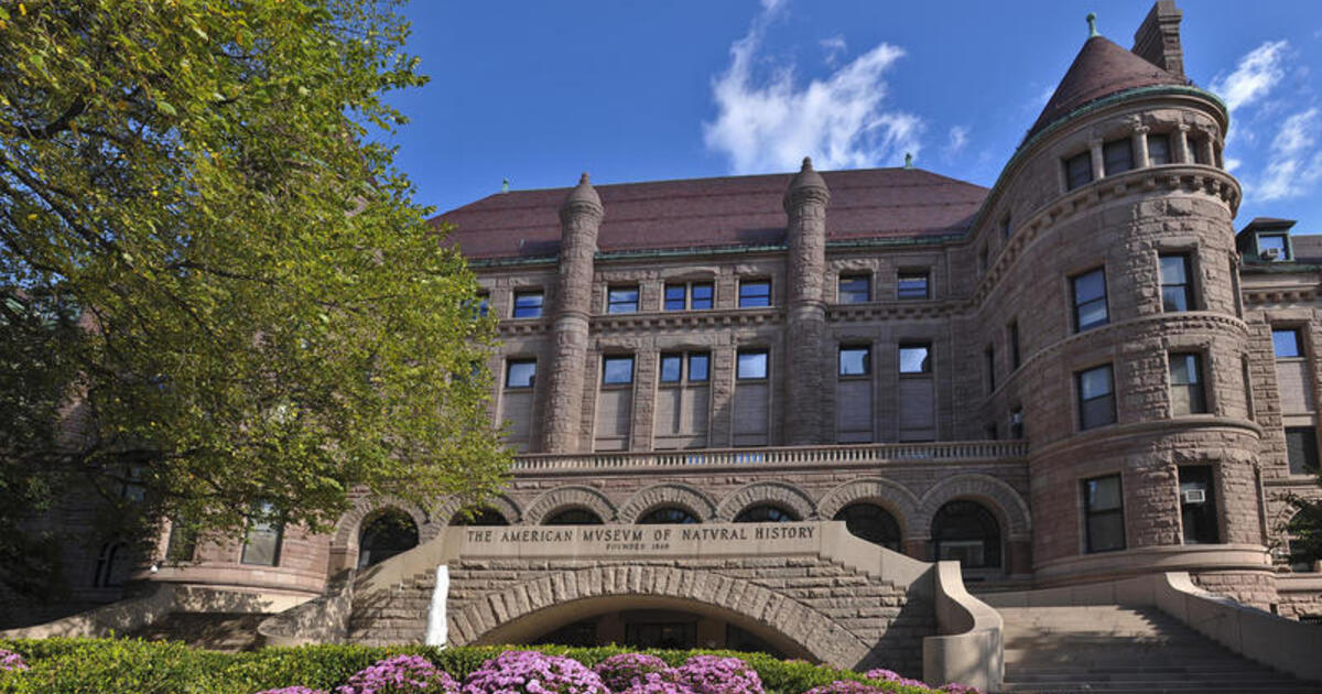 Scientist Talks for Teachers | AMNH