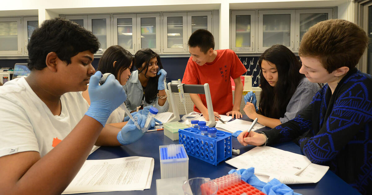 Research: STEM Persistence and Career Pathways in NYC Youth | AMNH