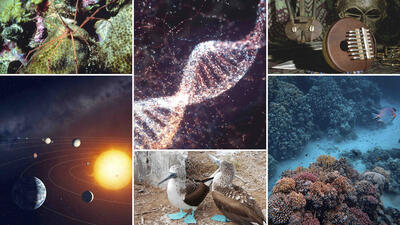 Science Alliance: Middle School Program at the Museum | AMNH