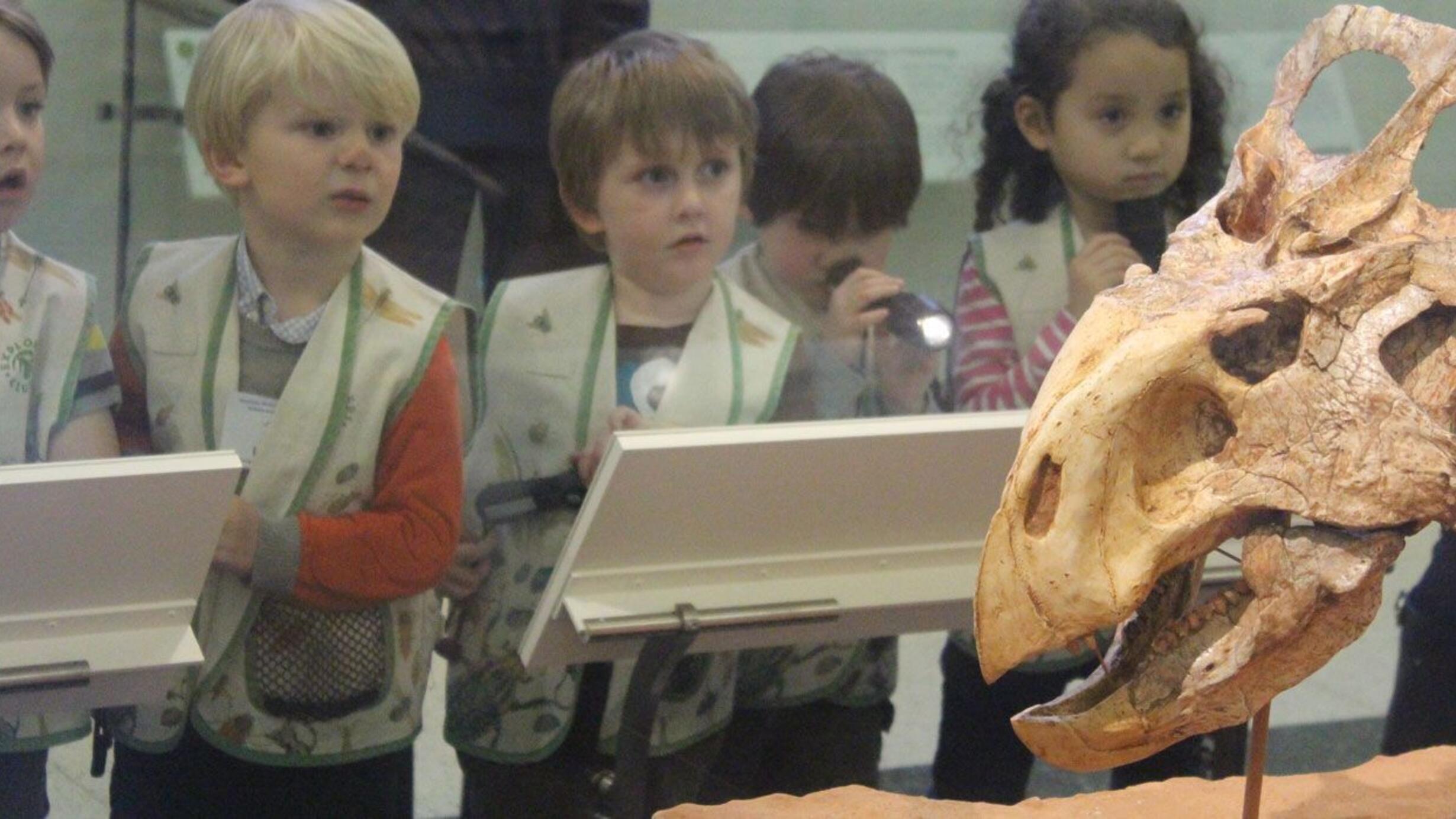Science & Nature Program: K-5 Museum Learning | AMNH