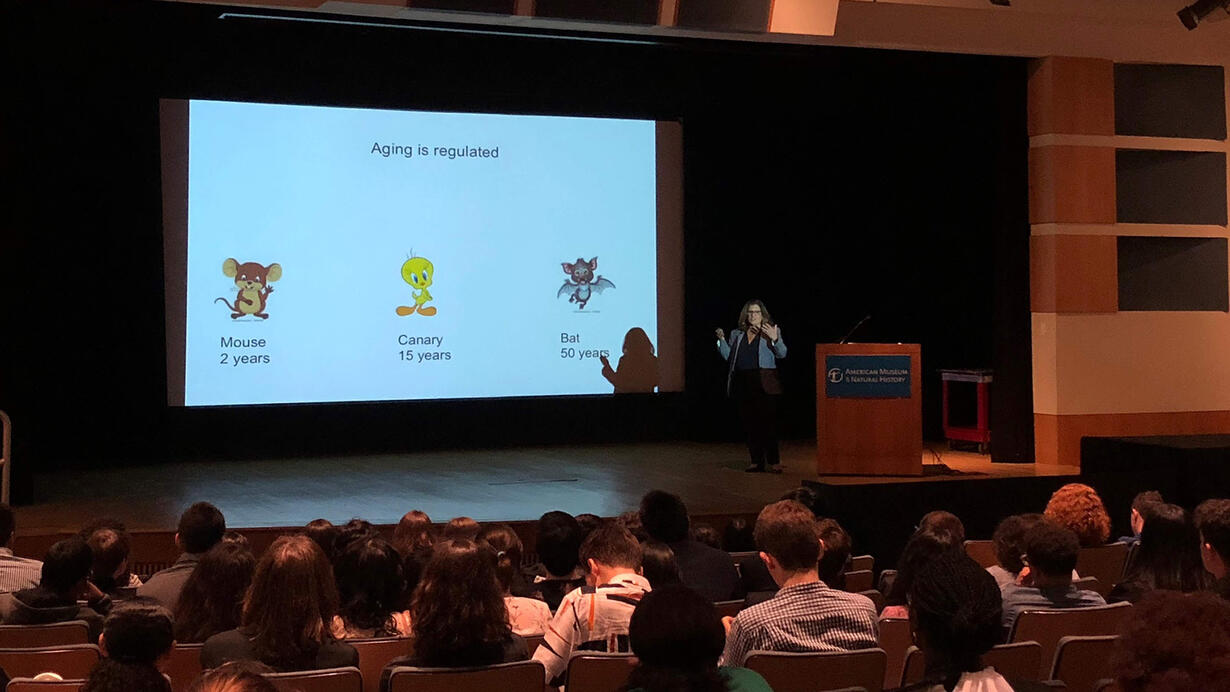 SciChat: Science Hangouts for Kids Aged 10-13 | AMNH