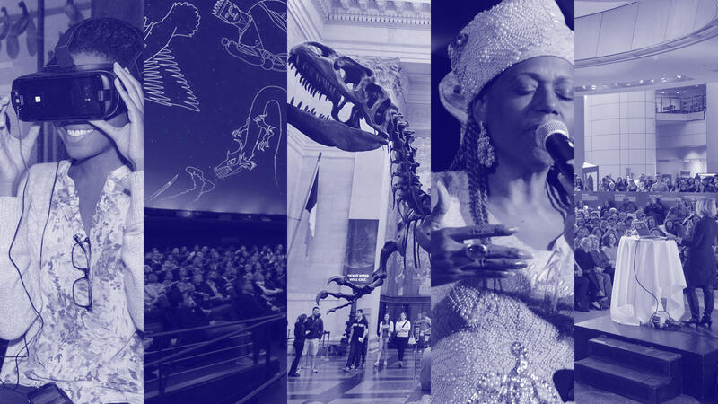 Science Programs, Events, and Lectures for Adults | AMNH