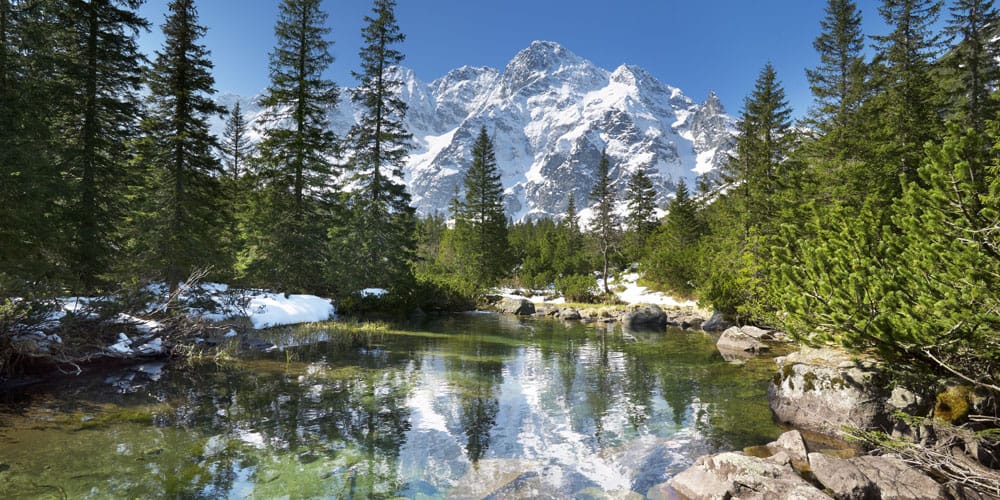 Course Schedules and Registration | Seminars on Science