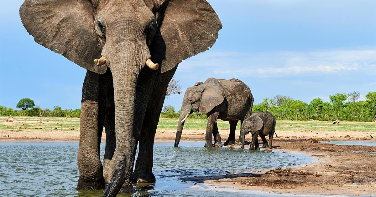 Ecology: Course for Science Educators | Seminars on Science