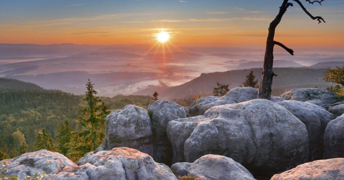 Courses Offered: Online Grad Program | Seminars on Science