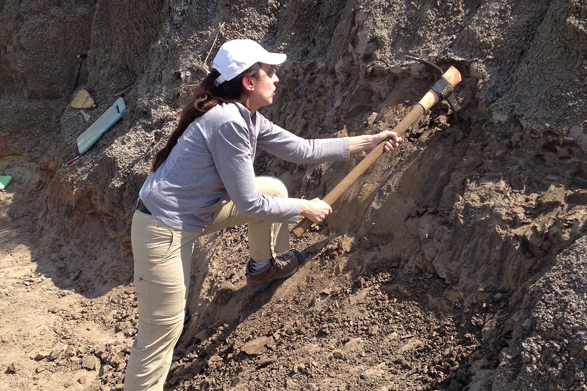 Christine Kola, Course Instructor | AMNH