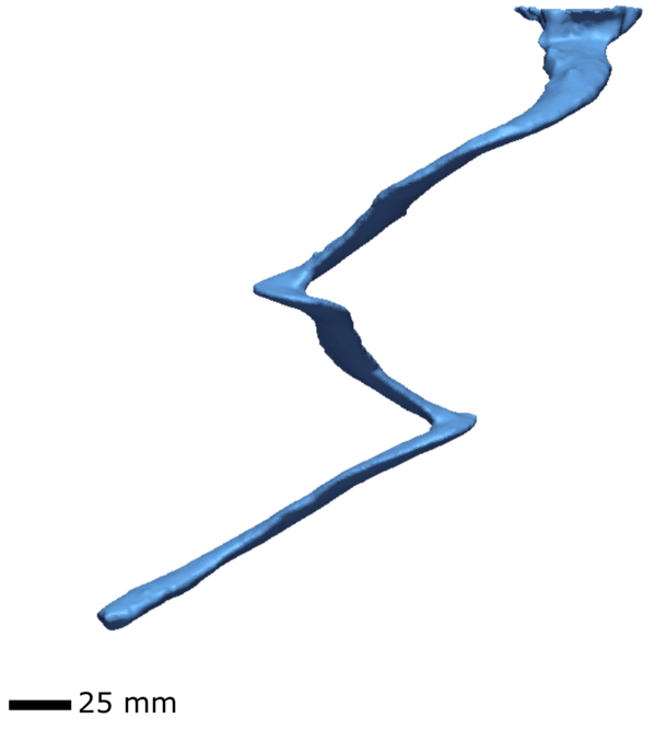 Scorpions' Burrows: Similar Across Species | AMNH