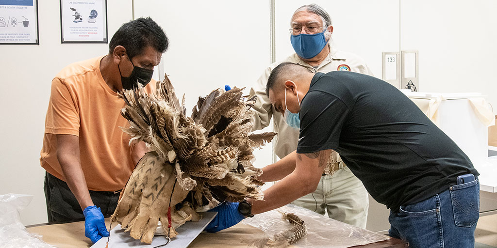 Cultural Resources Office for Repatriation Activities | AMNH