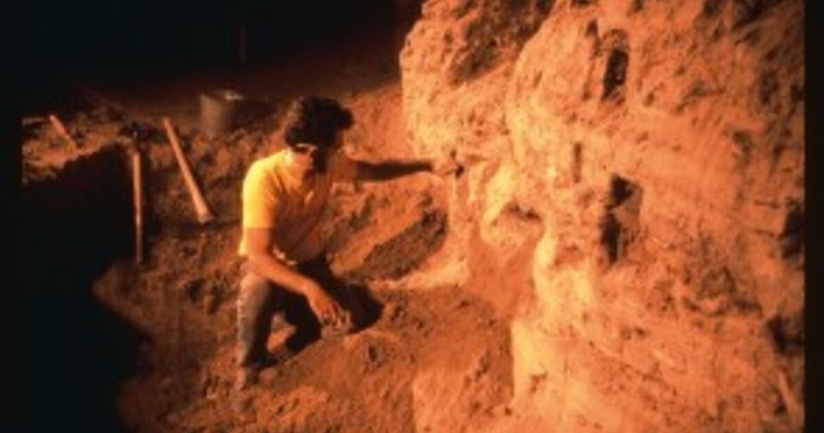 North American Archaeological Collection | AMNH