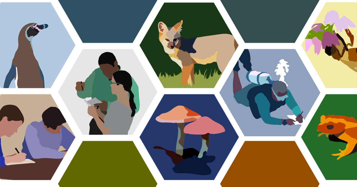 NCEP Educator Resources | AMNH